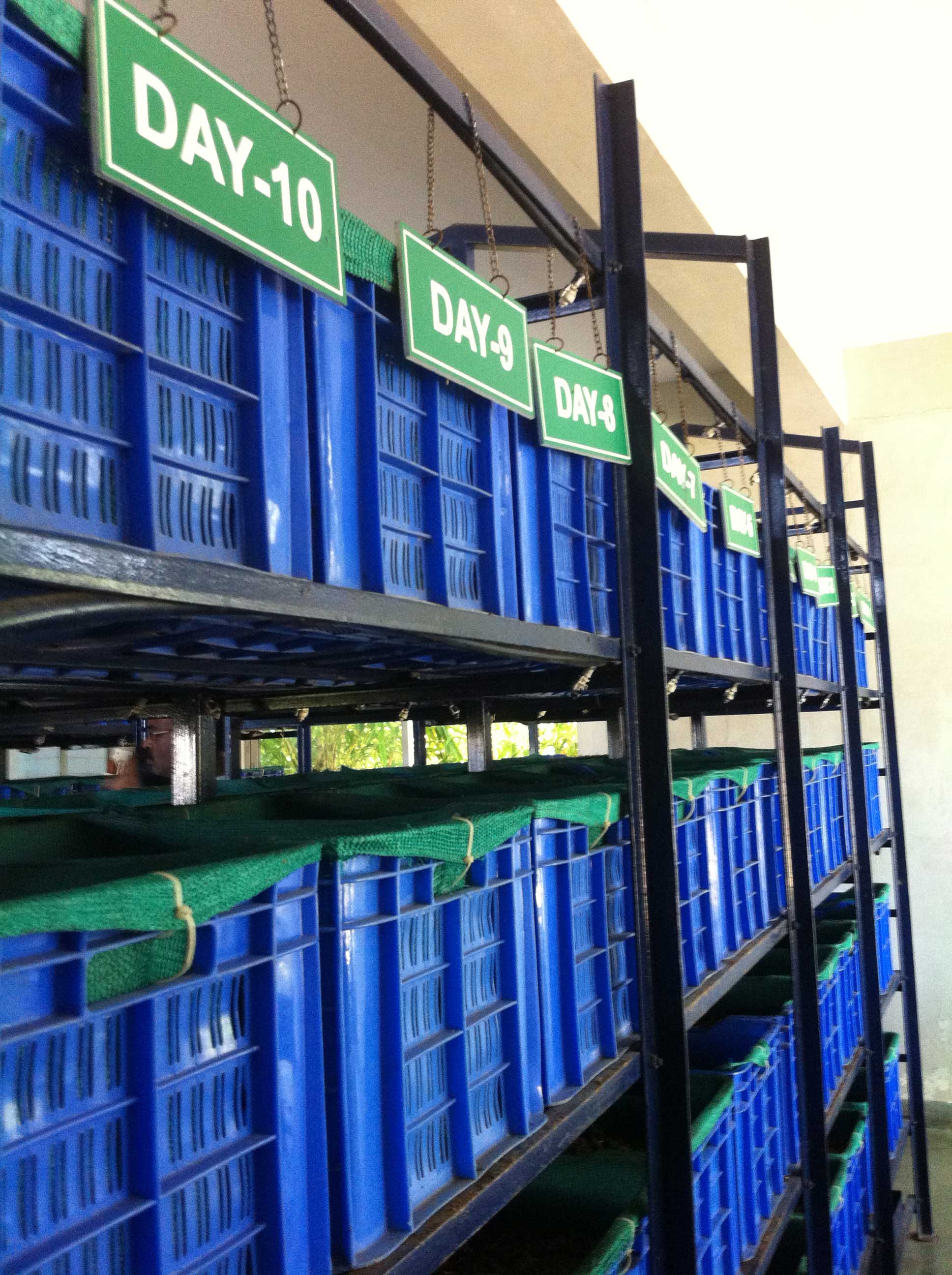 Organic waste management - Kiran Consultants